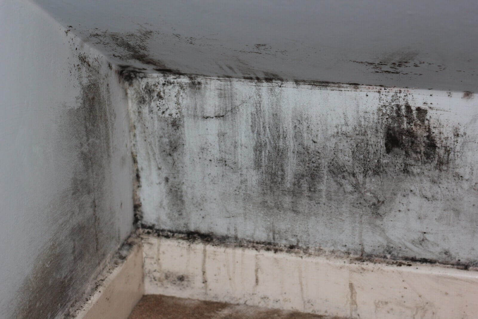 Why Florida Homes Lack Basements: Explained Simply - AlwaysReadyHQ